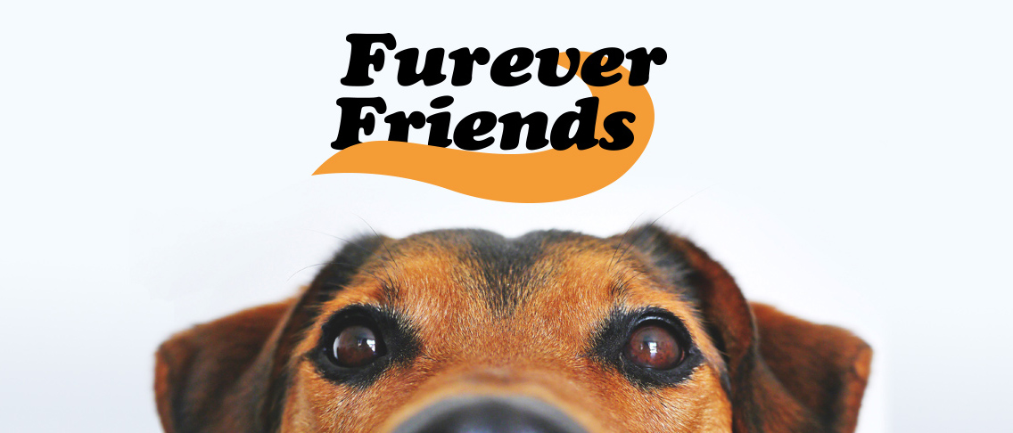 Furever Friends 364 – Quicksie 98.3