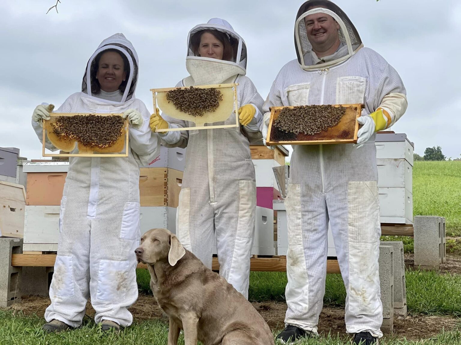 Beekeeping Adventure of Brian & Trisha – Quicksie 98.3